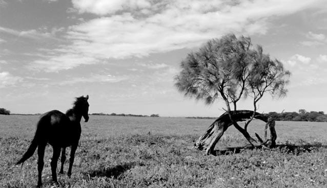 20 Beautiful Black And White Nature Photography