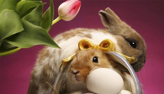 50 Beautiful Easter Wallpapers