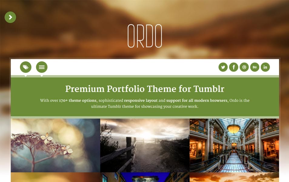 Best Premium Tumblr Portfolio Themes - 2013 | Css Author