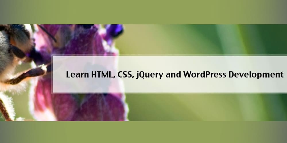 Best Youtube Channels For Web Designers And Developers