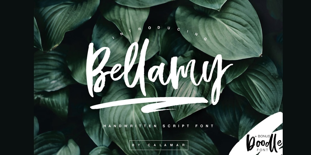 50 + Free Script Fonts for Designers » CSS Author