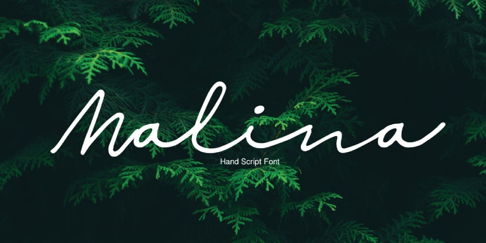 50 + Free Script Fonts for Designers » CSS Author
