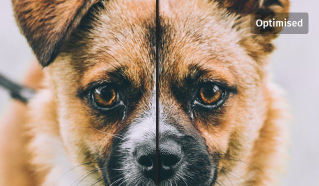 The Best Image Optimization Tools » CSS Author