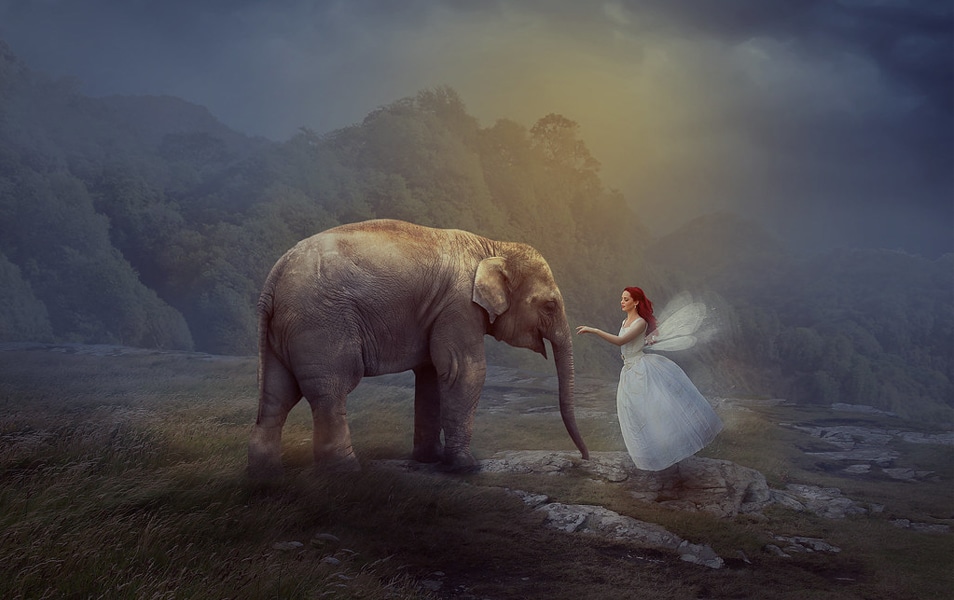 Incredible Photo Manipulation Arts